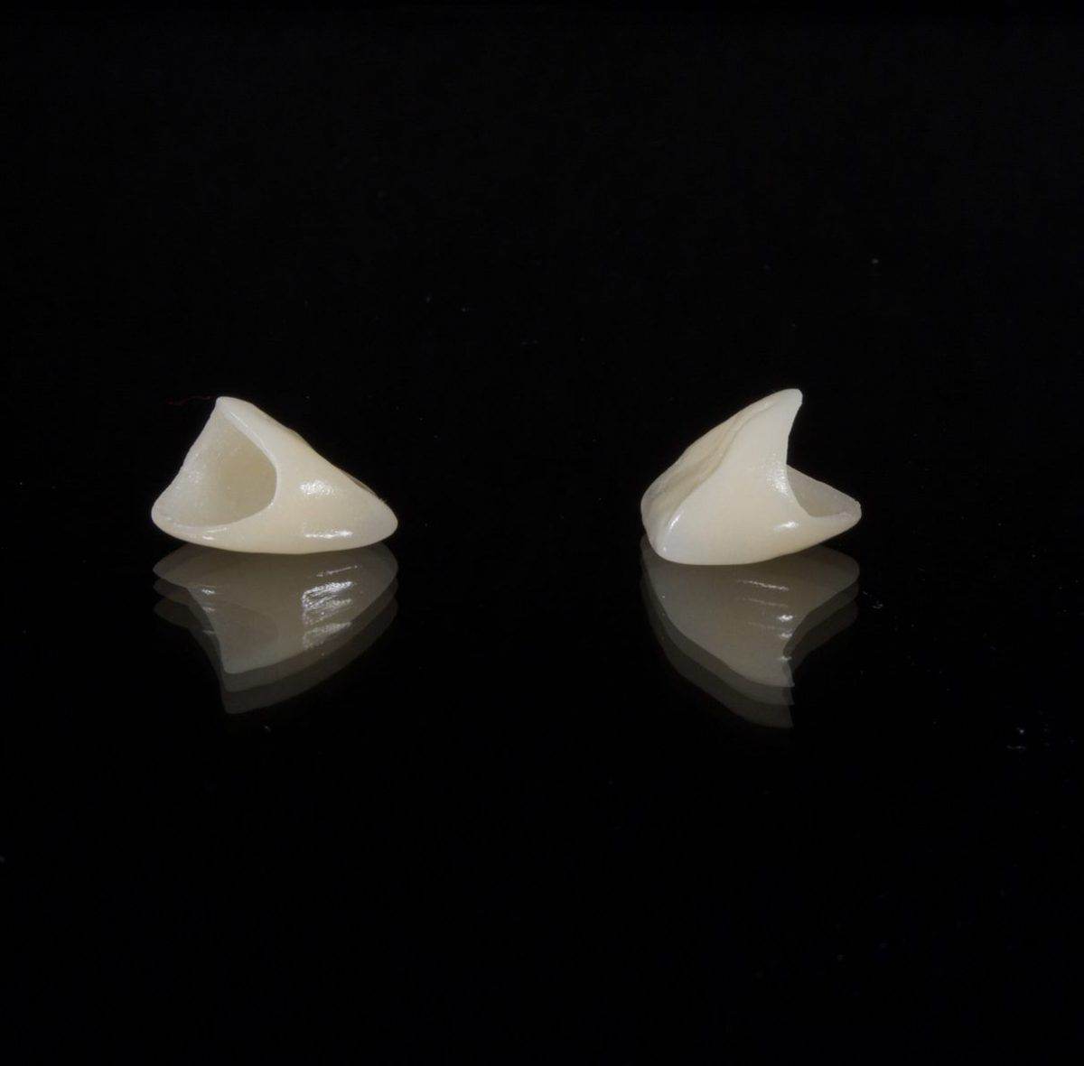 David Jester: Extraction – Drinkers with Writing Problems